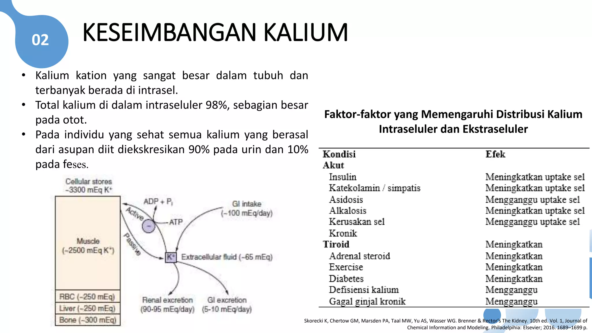 Referat Manajemen hiponatremia & hipokalemia - iqbal.pptx