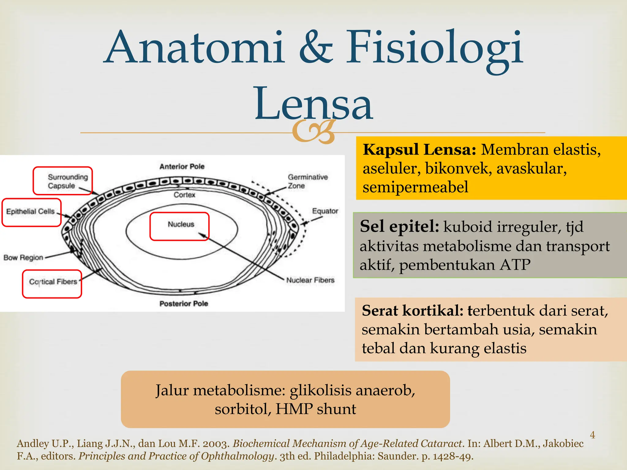 REFERAT OPERASI KATARAK PADA MATA (JENIS OPERASI DAN INDIKASINYA).pptx