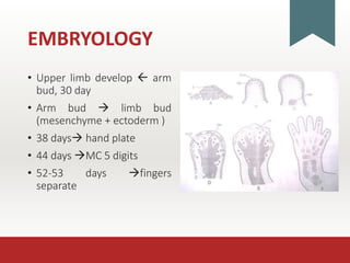 Referat Pedii I-Anggrian-POLIDAKTILI.pptx