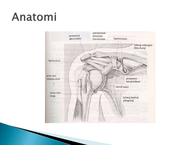 Referat_radiologi_dislokasi_bahu.pptx