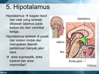 Referat sistem limbik | PPT