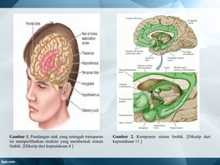 Referat sistem limbik | PPT