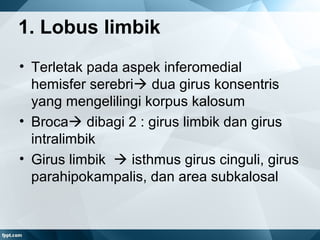 Referat sistem limbik | PPT