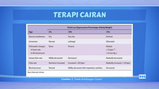 Referat_Terapi Cairan_ Sarah Talitha_edit.pptx