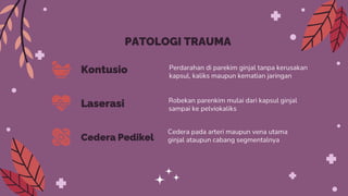 Referat Trauma Ginjal.pptx