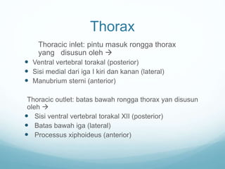 Referat_Trauma_Thorax_Radiologi.pptx