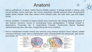 Referat Trigeminal Neuralgia. Definisi. pptx | PPTX