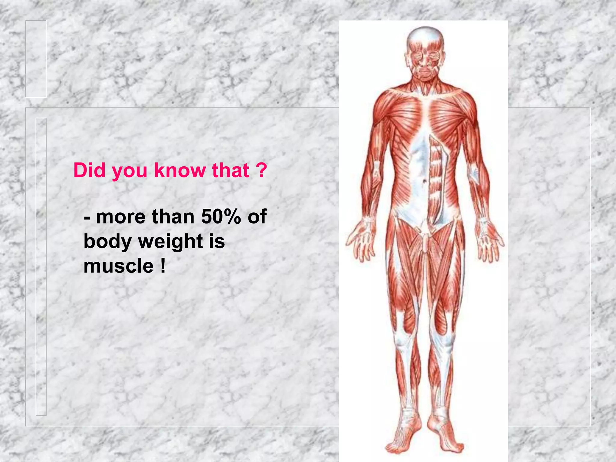 REFERENCE 11-MUSCULAR SYSTEM.pptx