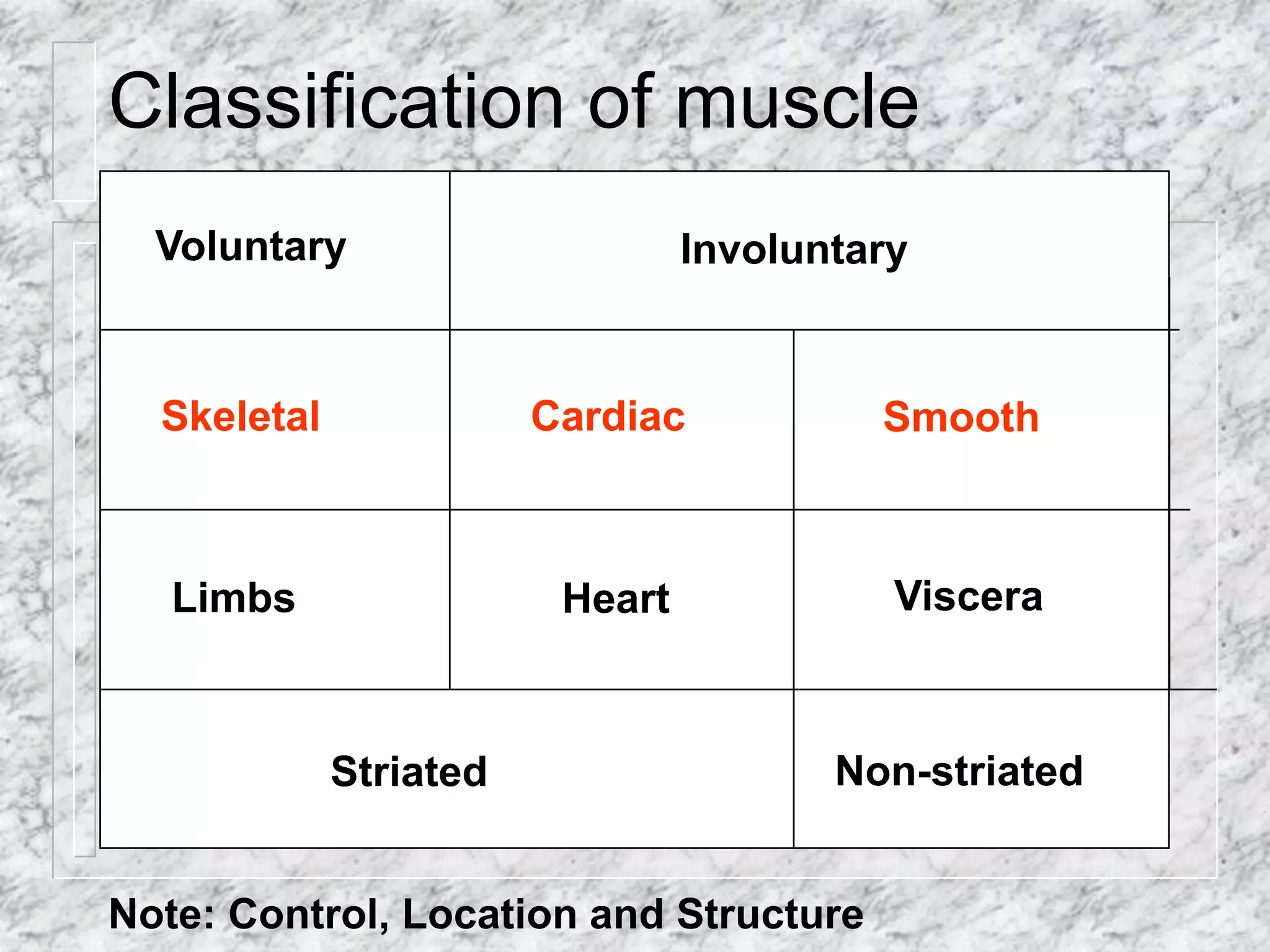 REFERENCE 11-MUSCULAR SYSTEM.pptx