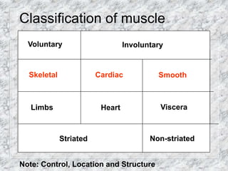 REFERENCE 11-MUSCULAR SYSTEM.pptx