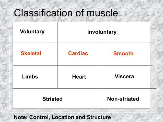 REFERENCE 11-MUSCULAR SYSTEM.pptx