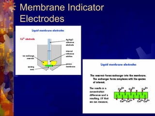 Reference electrodes | PPT