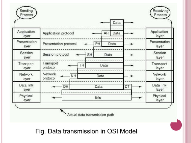 OSI and TCP/IP reference models in networking | PPTX