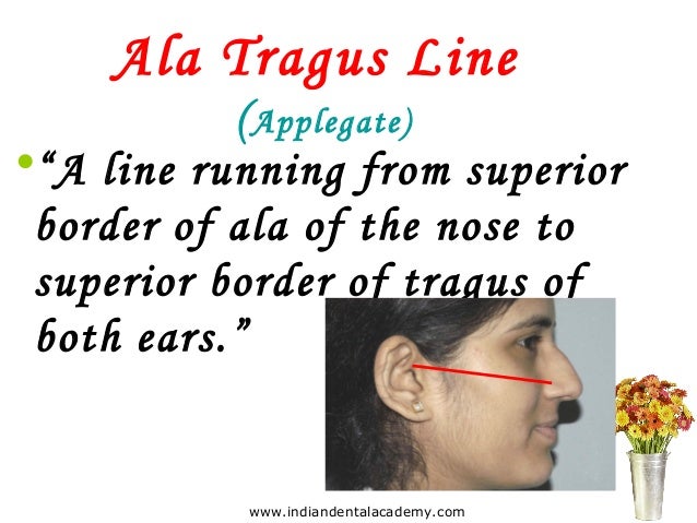 Reference plane/ oral surgery courses