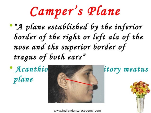 Reference plane/ oral surgery courses