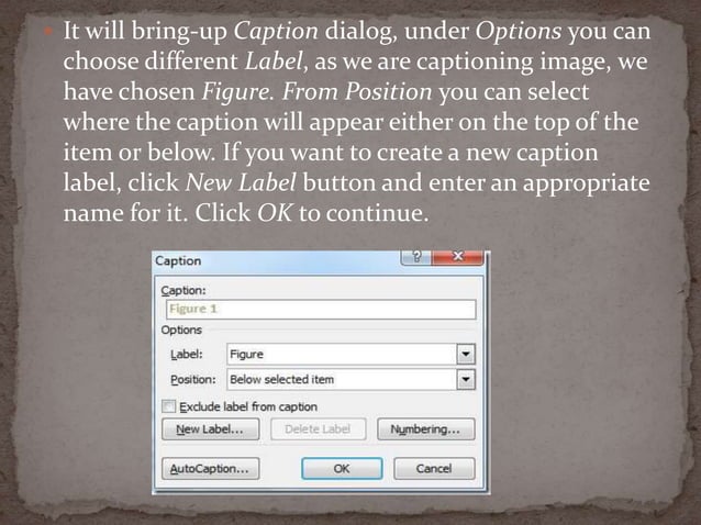 References (Captions) | PPT
