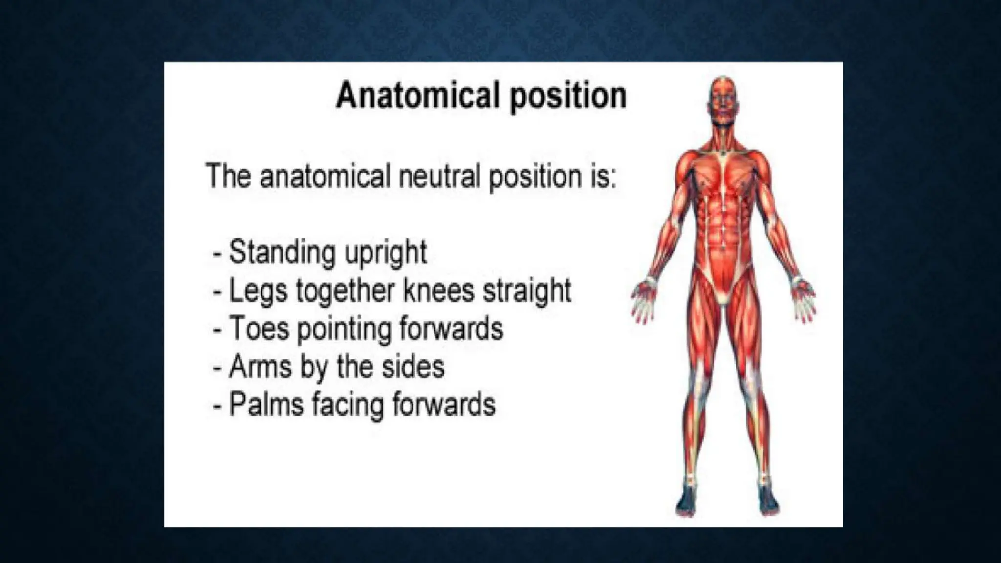 Reference System for Movement Analysis.pptx