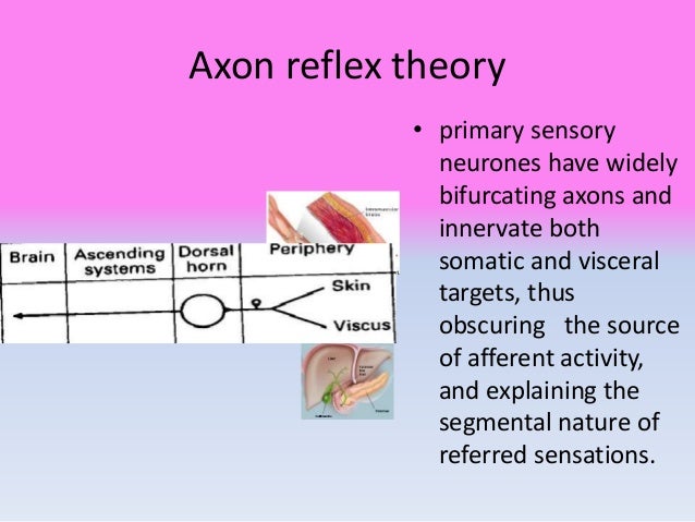 Referral pain and phantom pain
