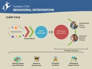 What Is Behavioral Intervention? | PPTX