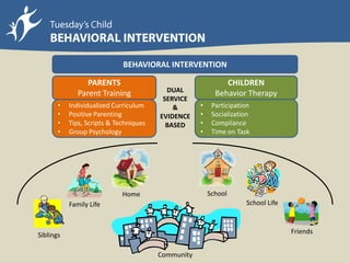 What Is Behavioral Intervention? | PPTX
