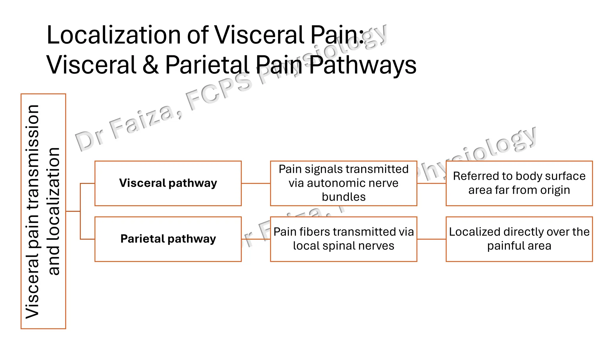 Physiology of Referred and Visceral Pain | PDF