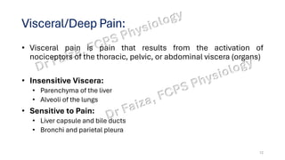 Physiology of Referred and Visceral Pain | PDF