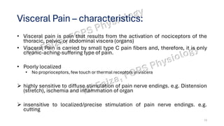 Physiology of Referred and Visceral Pain | PDF