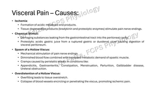 Physiology of Referred and Visceral Pain | PDF