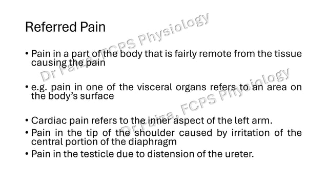 Physiology of Referred and Visceral Pain | PDF