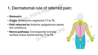 Physiology of Referred and Visceral Pain | PDF