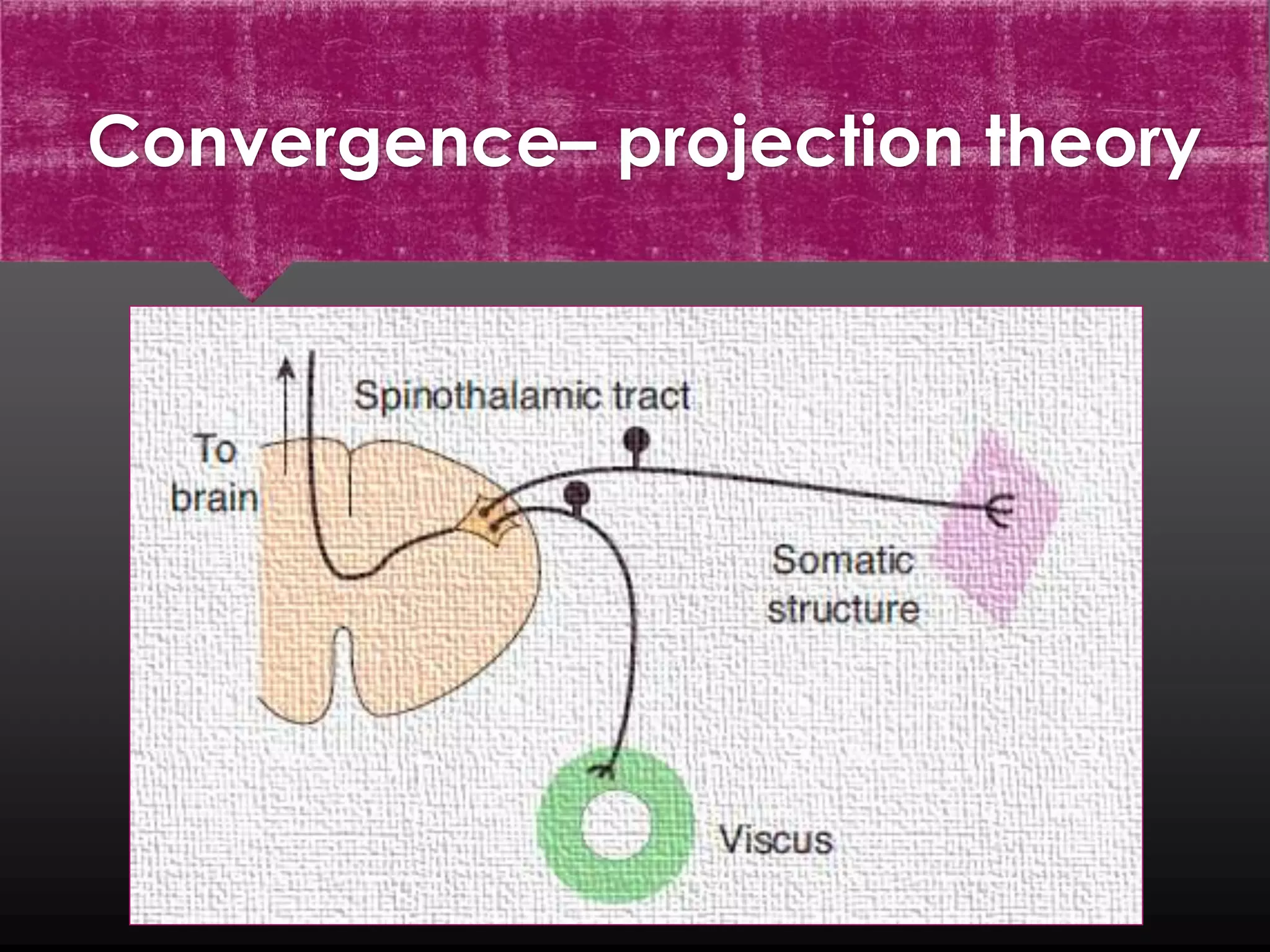 Referred Pain (Physiology Seminar) | PPTX
