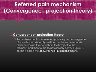 Referred Pain (Physiology Seminar) | PPTX
