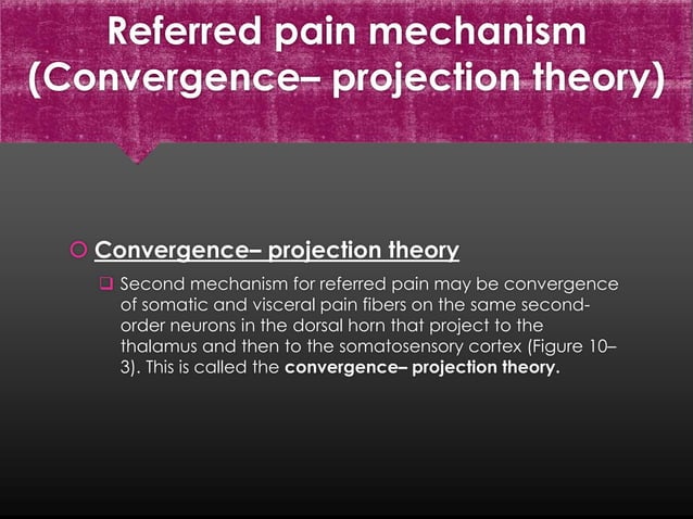 Referred Pain (Physiology Seminar) | PPTX | Brain and Nervous System ...