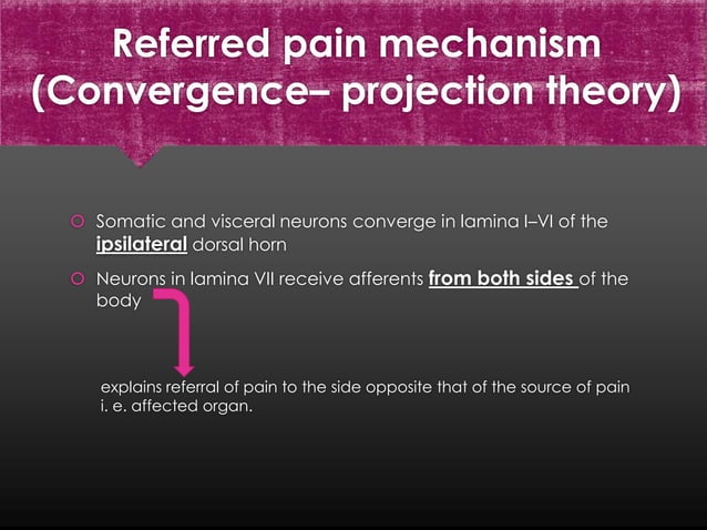 Referred Pain (Physiology Seminar) | PPTX | Brain and Nervous System ...