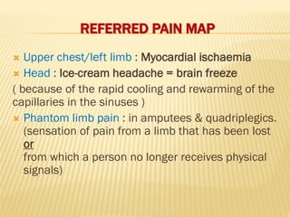 Referred pain; physiology - April 2015 | PDF
