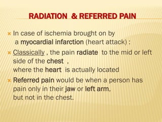 Referred pain; physiology - April 2015 | PDF