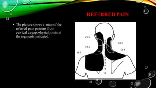 Referred pain dr ahmed | PPTX