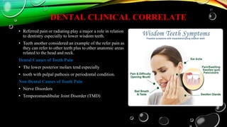 Referred pain dr ahmed | PPTX