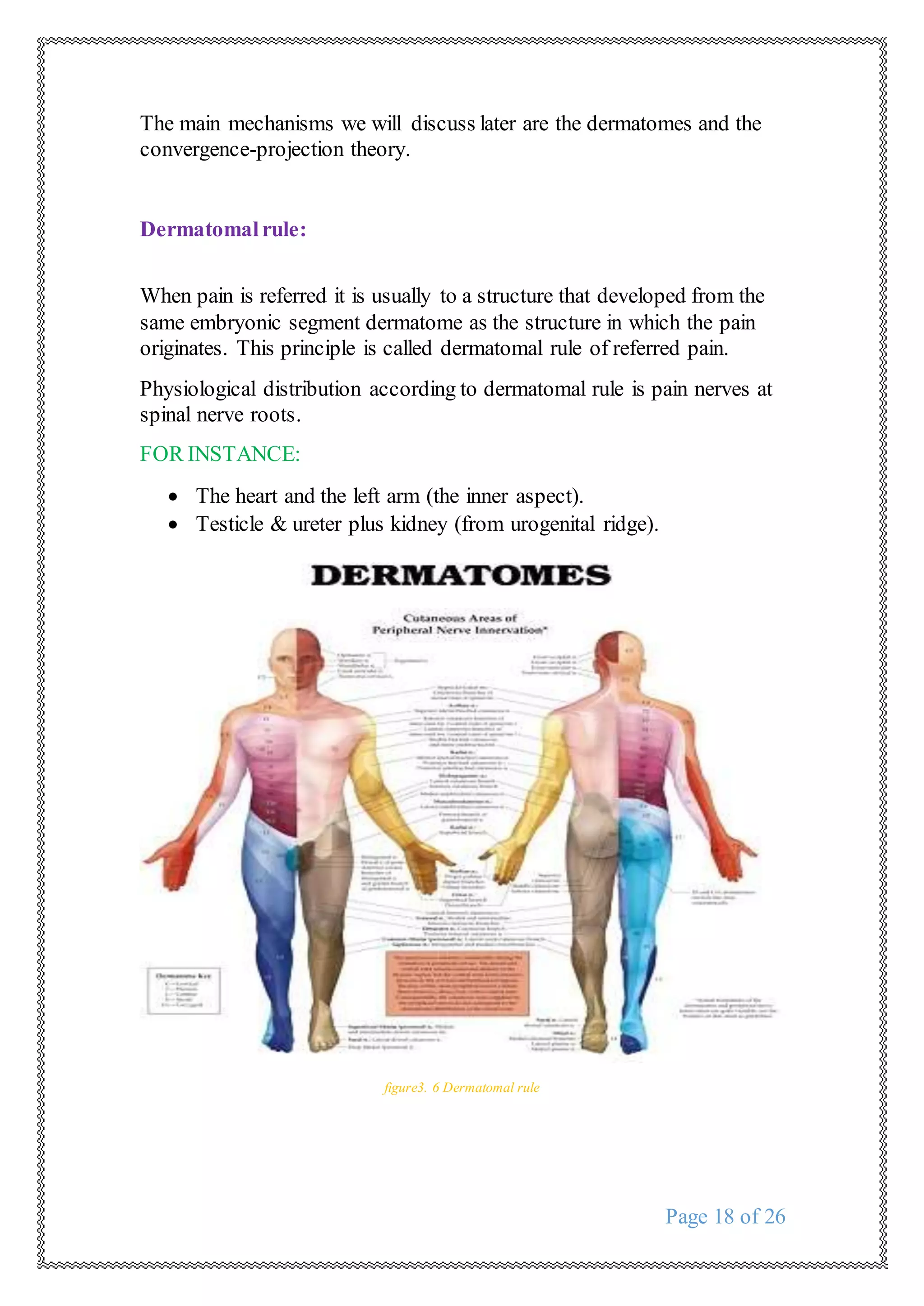 Referred pain dr ahmed reda | DOCX