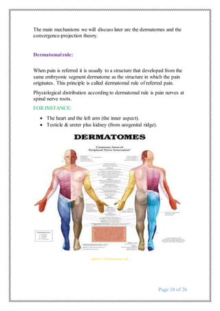 Referred pain dr ahmed reda | DOCX