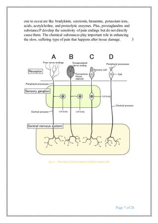 Referred pain dr ahmed reda | DOCX