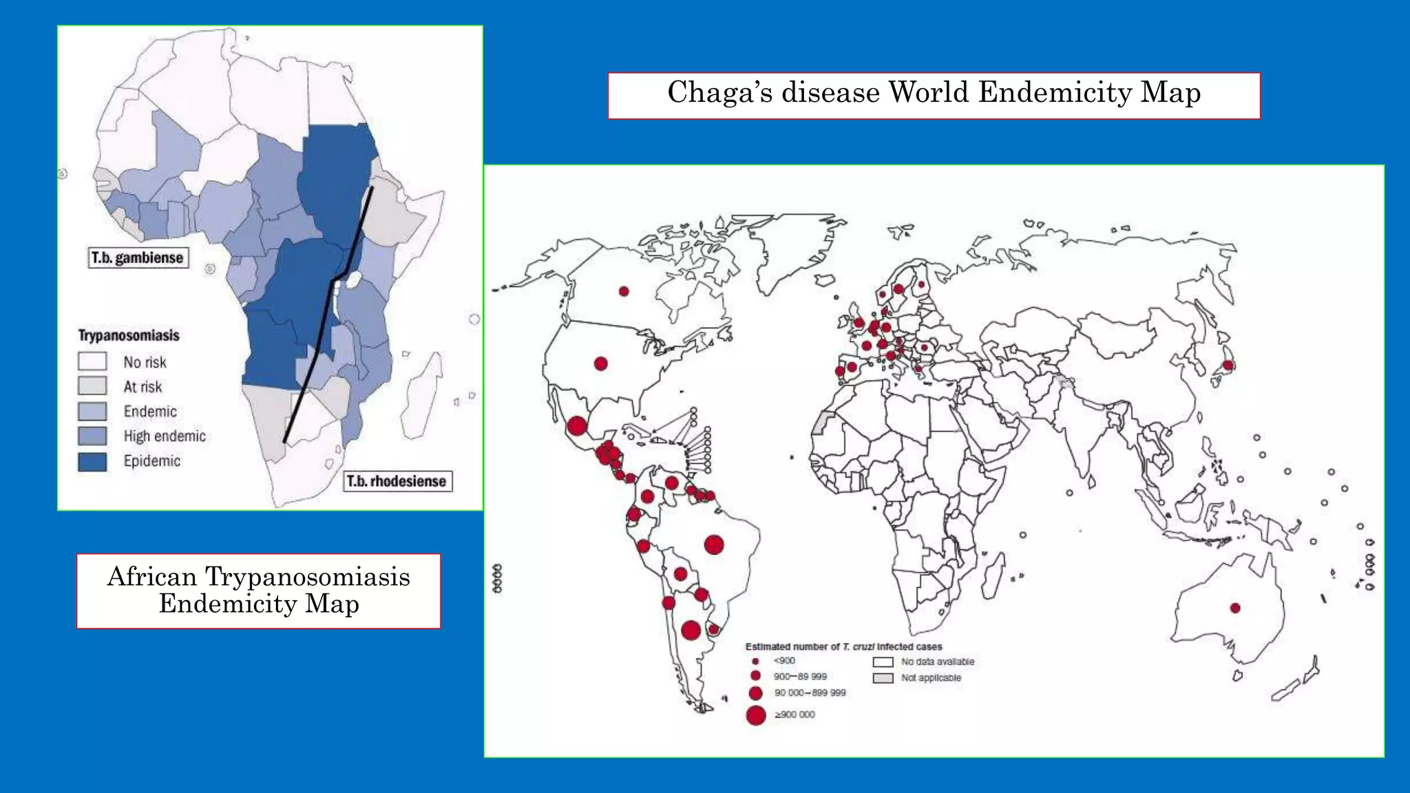 Zoonotic Protozoan disease | PPTX