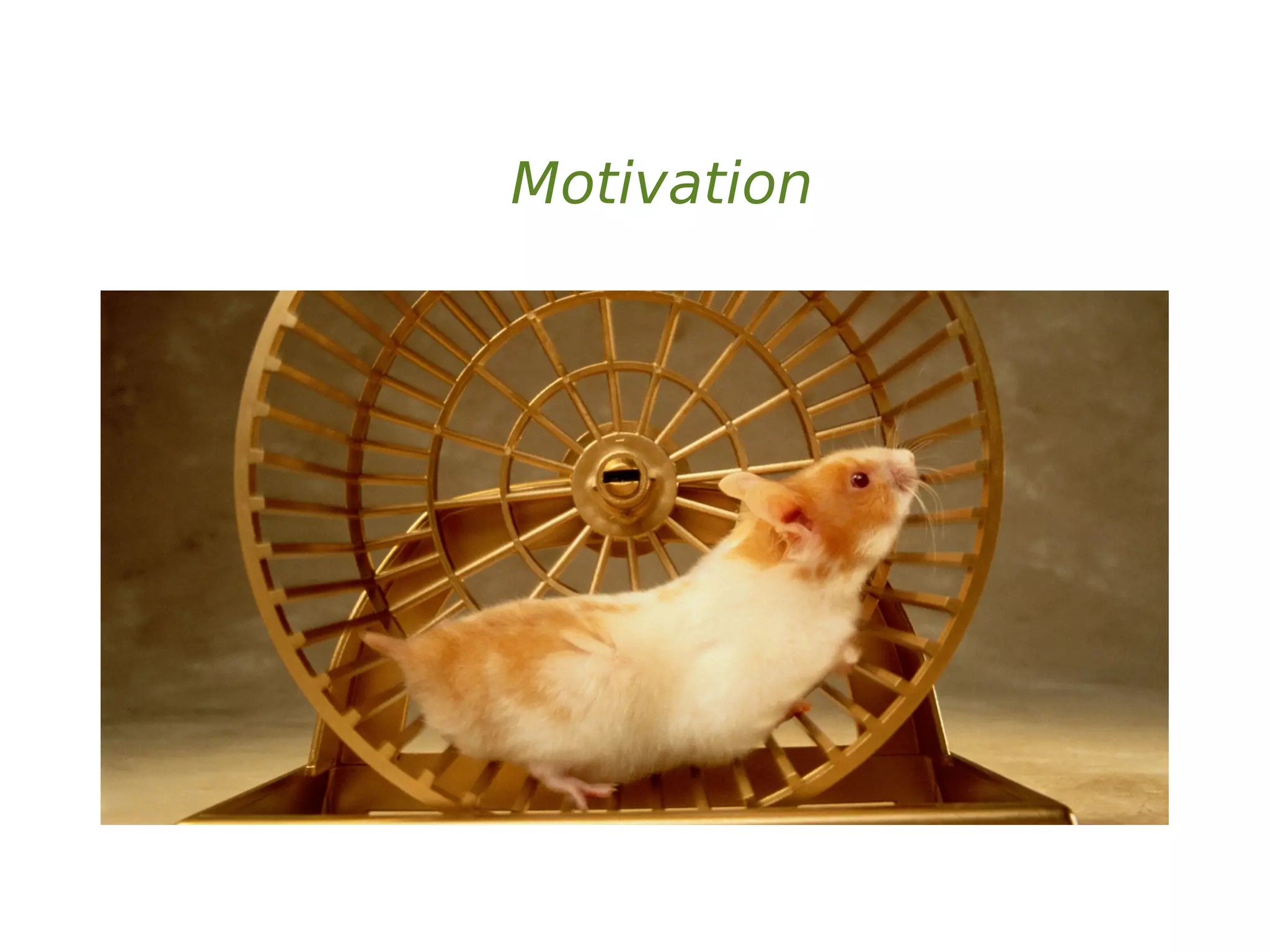 Refinement Types for Haskell | PDF | Programming Languages | Computing