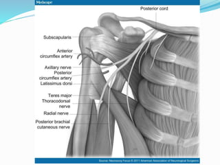 Refkas dislokasi bahu.pptx