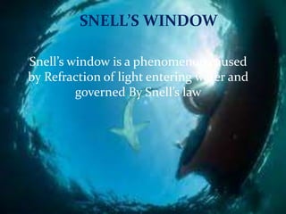 Reflection and refraction | PPTX