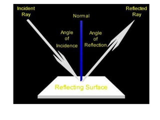 Reflection of light | PPT | Physics | Science