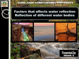 Reflection of water bodies | PPTX
