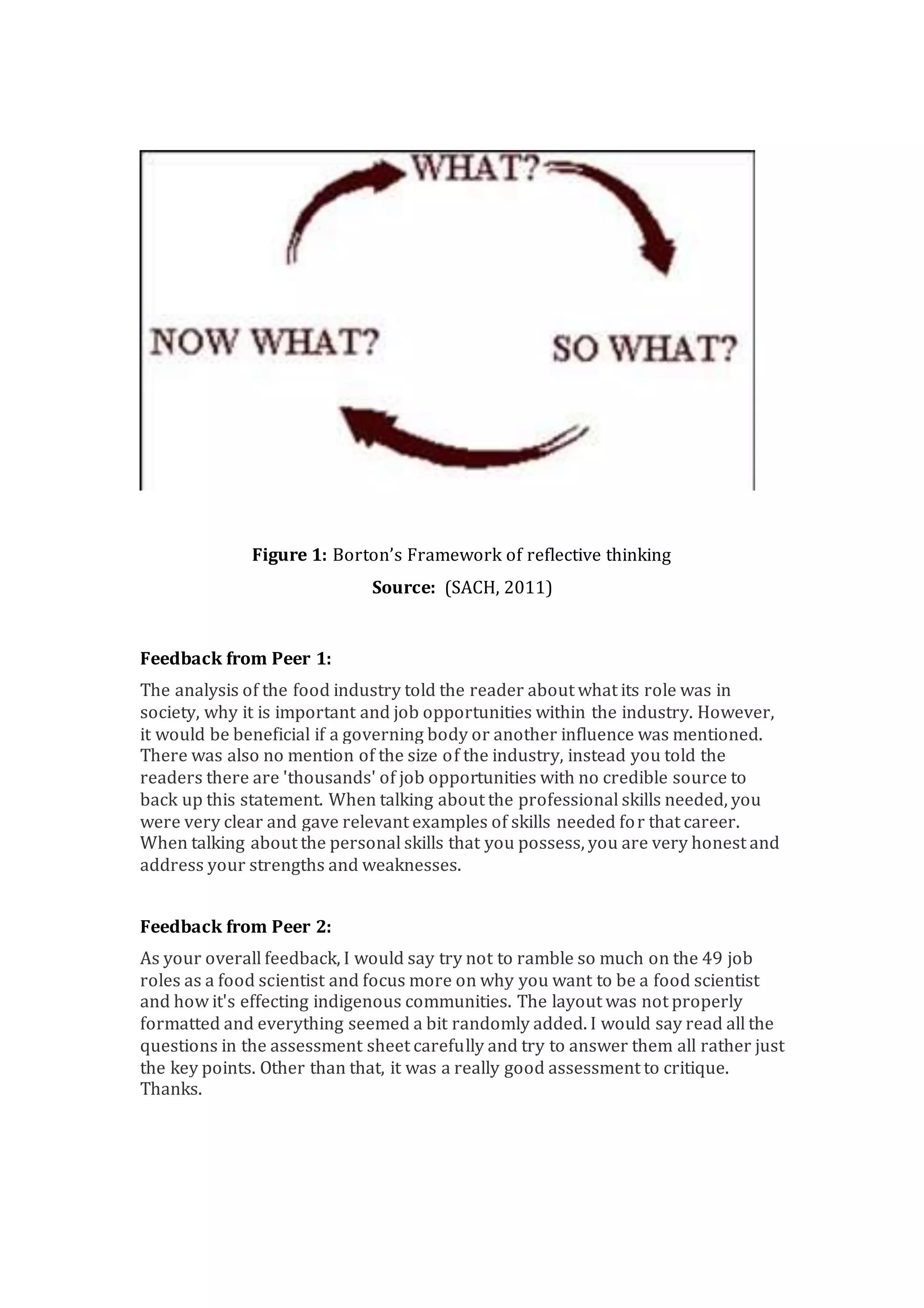 Reflection on Industry Analysis | DOCX