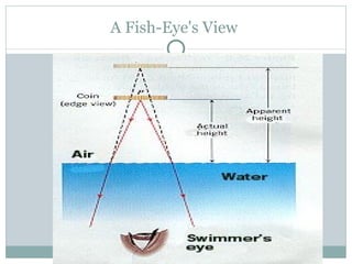 Reflection refraction and light 2010 | PPT