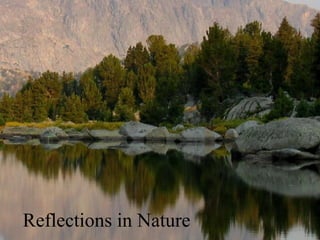 Reflections in Nature | PPT